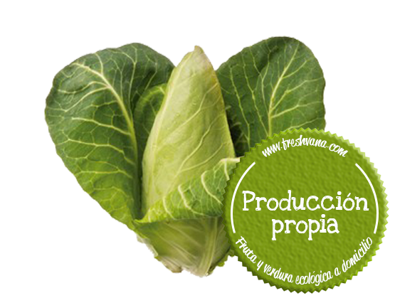 Col picuda ecológica. De la huerta a tu mesa en 24h.