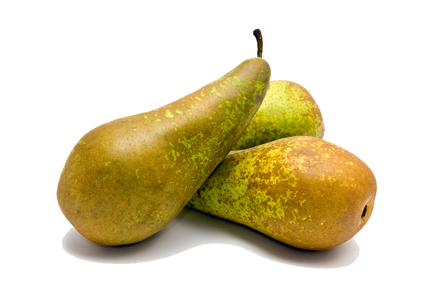 Pera conferencia Ecológica de Freshvana. Del campo a tu mesa en 24h