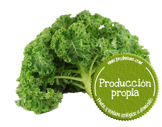 Col Kale Ecológica de Freshvana. Del campo a tu mesa en 24h